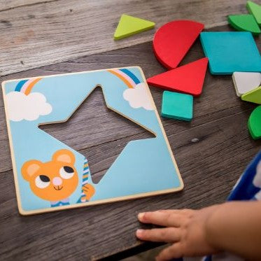 Toys for Colour & Shape Recognition - Wooden World